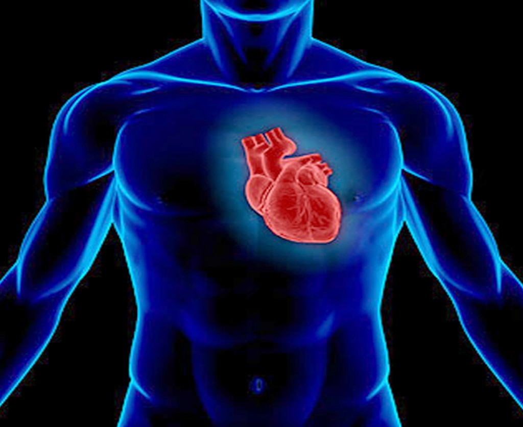 ΥΠΕΡΤΑΣΗ ΤΡΟΦΕΣ ΚΑΙ ΣΥΜΒΟΥΛΕΣ | Bioathens