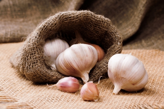 Αρχική | Bioathens