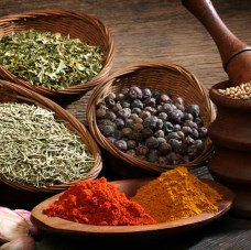 BOTANA | Bioathens