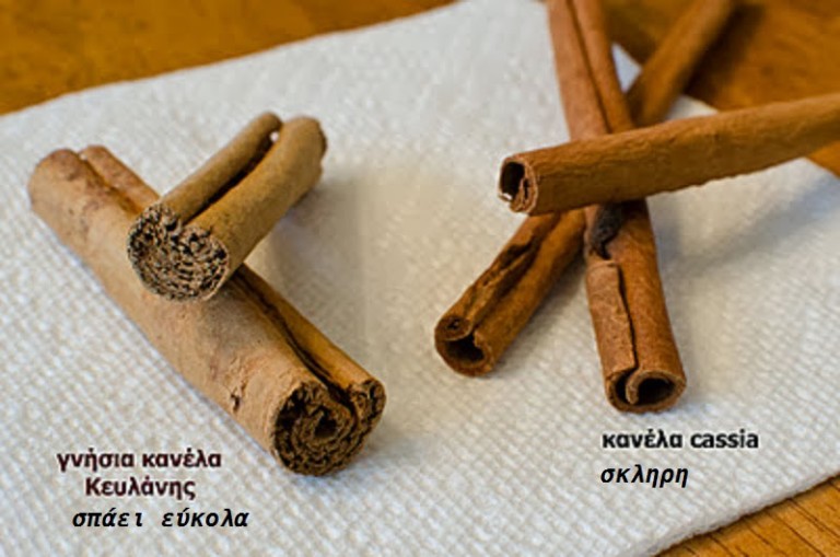Η ΚΑΝΕΛΑ ΕΙΝΑΙ ΦΑΡΜΑΚΟ | Bioathens